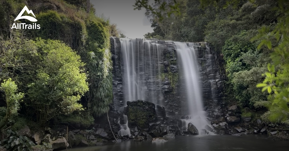 Te Wairere Waterfall: Die besten Routen in der Umgebung | AllTrails