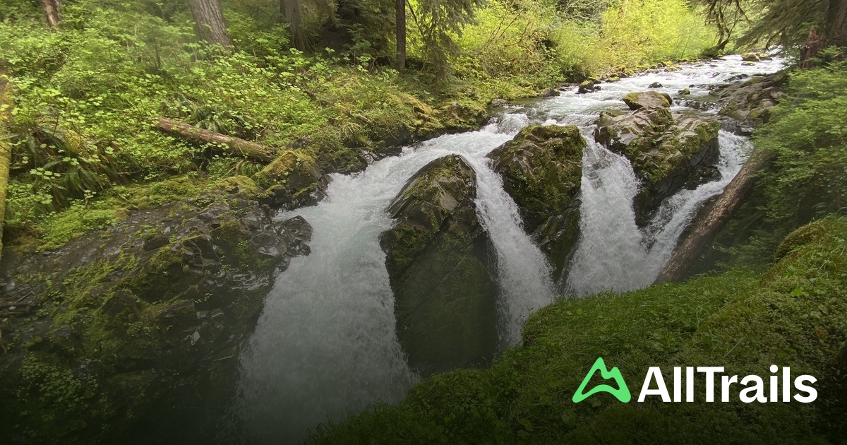 Sol Duc River Campsites - hikes and trails to get you there | AllTrails