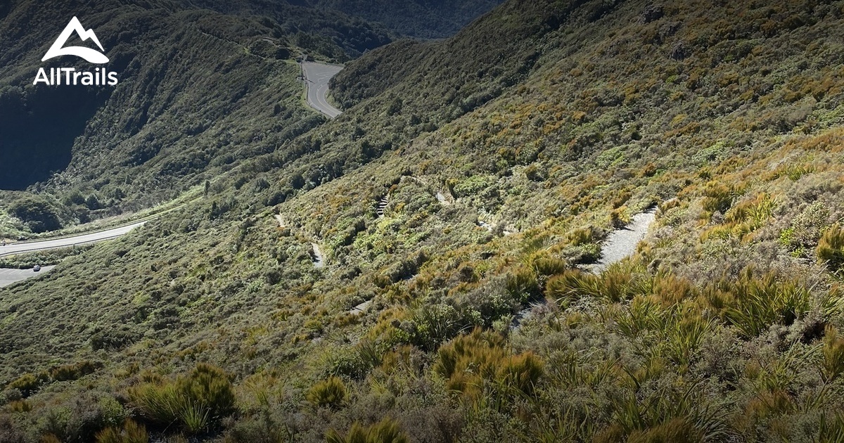 Remutaka - hikes and trails to get you there | AllTrails