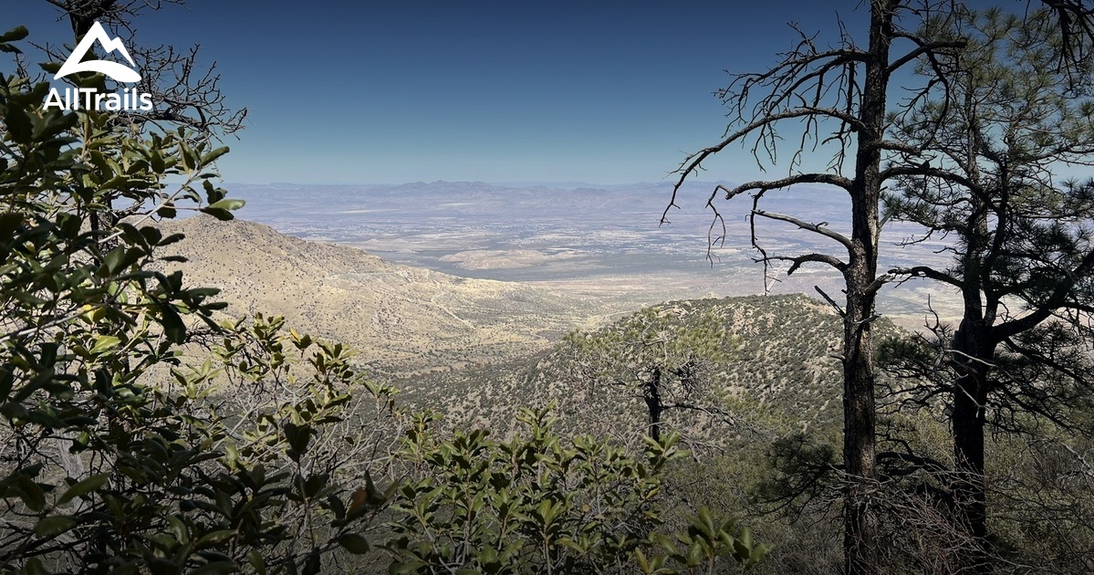 Best trails near Ladybug Peak | AllTrails