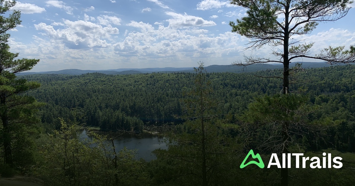 Manitou Mountain Lookout - hikes and trails to get you there | AllTrails