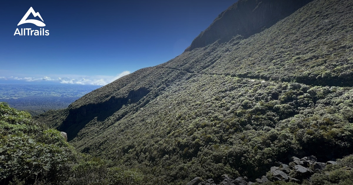 Bells Falls - hikes and trails to get you there | AllTrails