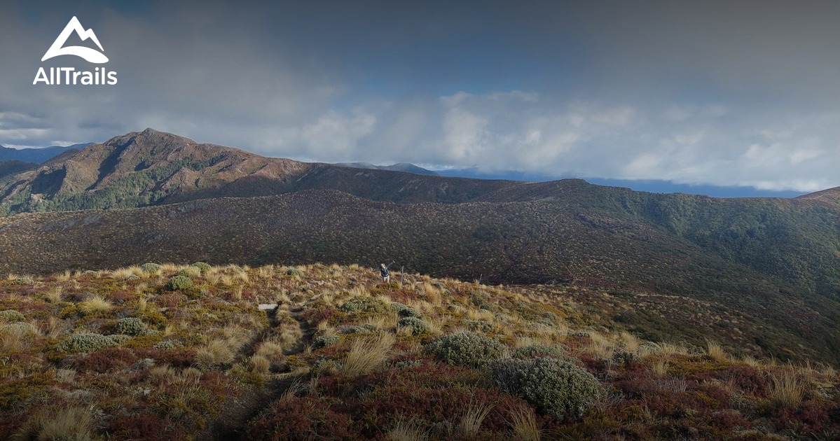 Best trails near Sharp Cone | AllTrails