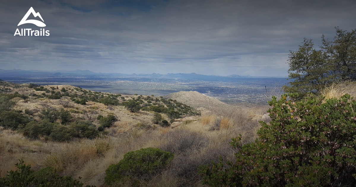 Mica Mountain - hikes and trails to get you there | AllTrails