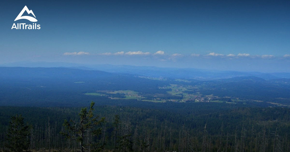 Hochstein: Die besten Routen in der Umgebung | AllTrails
