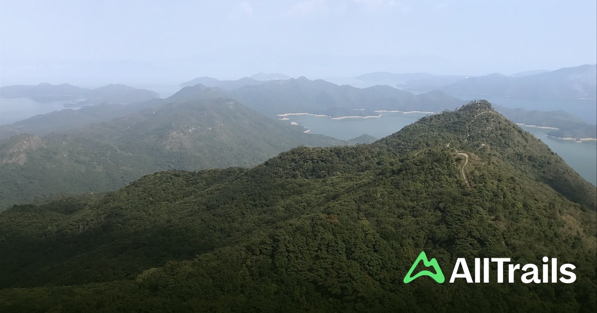 Plover Cove Reservoir - hikes and trails to get you there | AllTrails