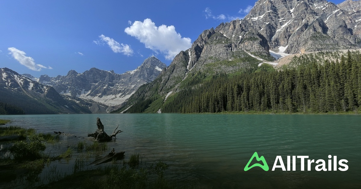 Chephren Lake - hikes and trails to get you there | AllTrails