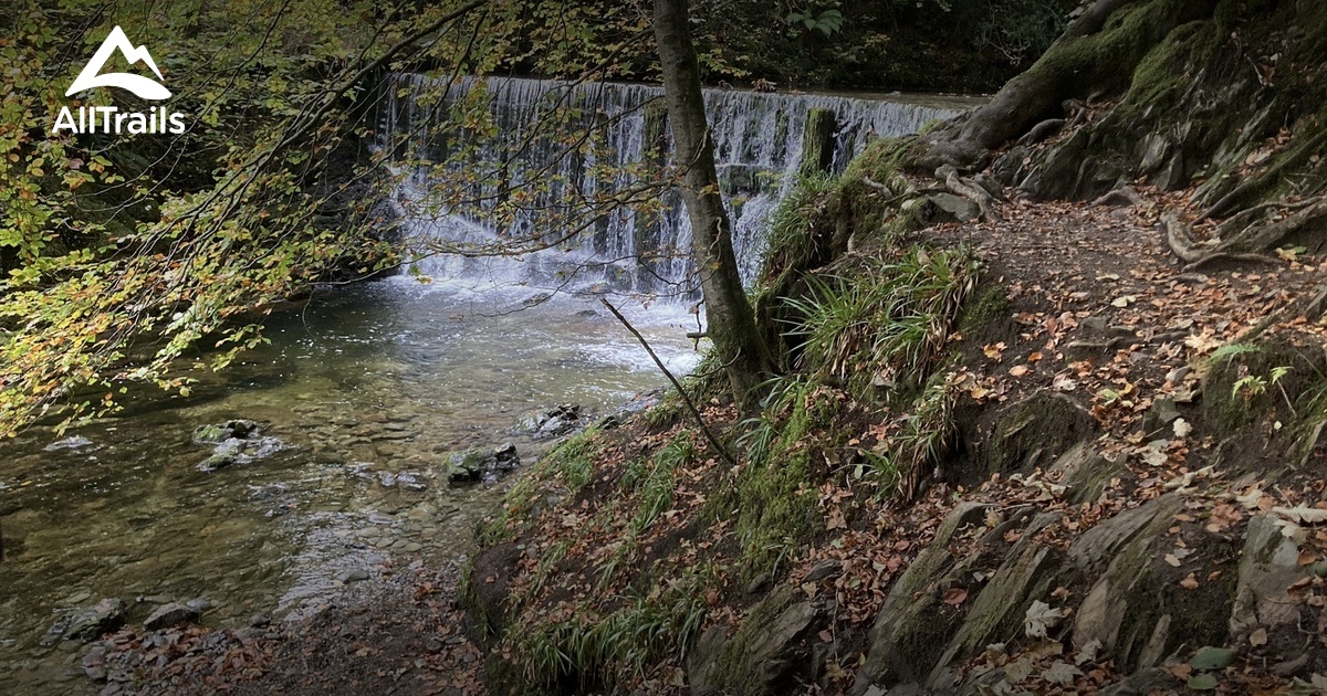 Stock Ghyll Force Waterfall - hikes and trails to get you there | AllTrails