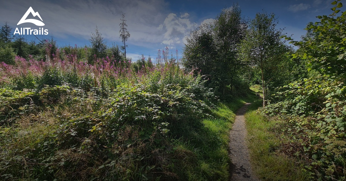 Clamp Hole Waterfall - hikes and trails to get you there | AllTrails