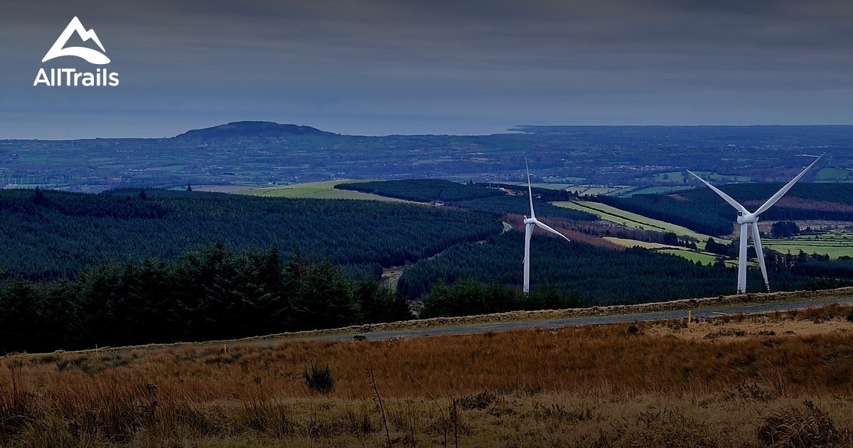 Croghan Kinsella East Top - hikes and trails to get you there | AllTrails