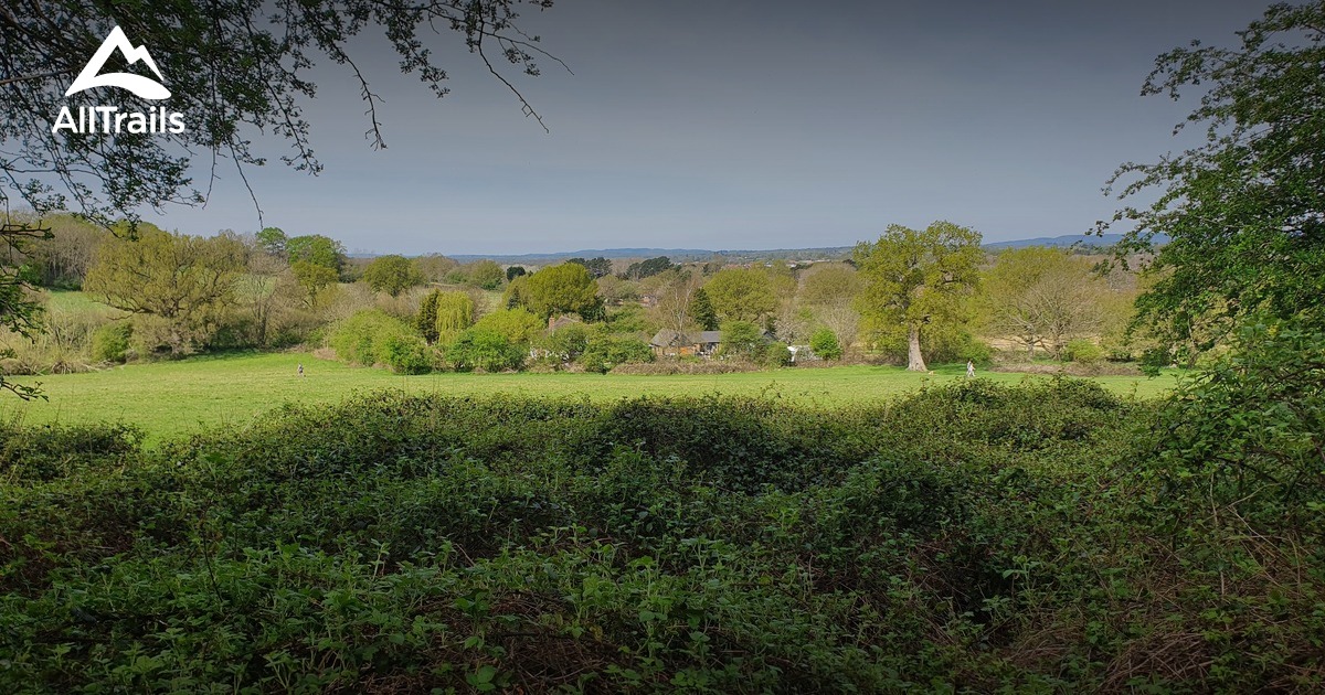 Denne Hill - hikes and trails to get you there | AllTrails