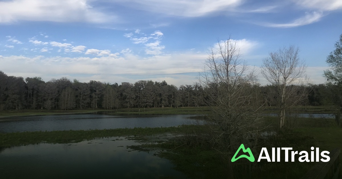 Alligator Lake - hikes and trails to get you there | AllTrails
