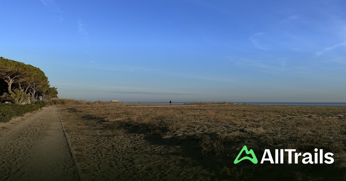 Camping Taxo Les Pins - hikes and trails to get you there | AllTrails