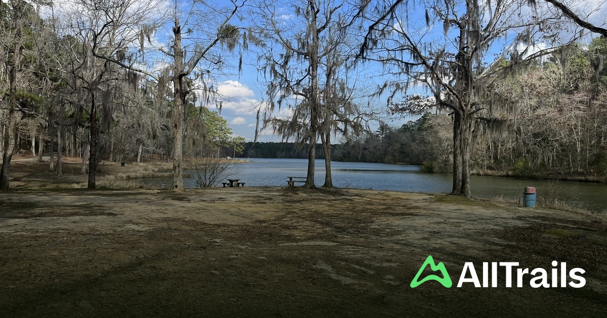 Dale County Public Lake Dam - hikes and trails to get you there | AllTrails