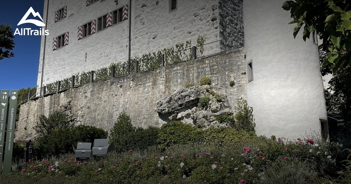 Schloss Wildegg - hikes and trails to get you there | AllTrails