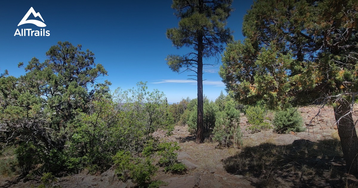 Mingus Mountain - hikes and trails to get you there | AllTrails