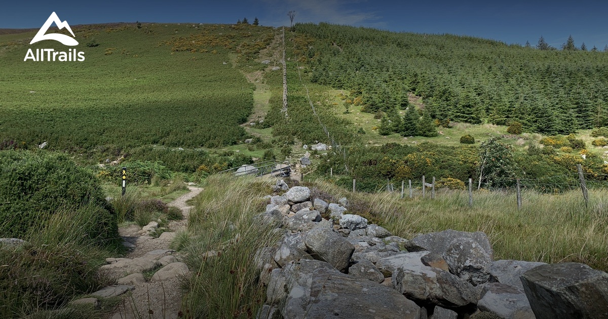 War Hill - hikes and trails to get you there | AllTrails