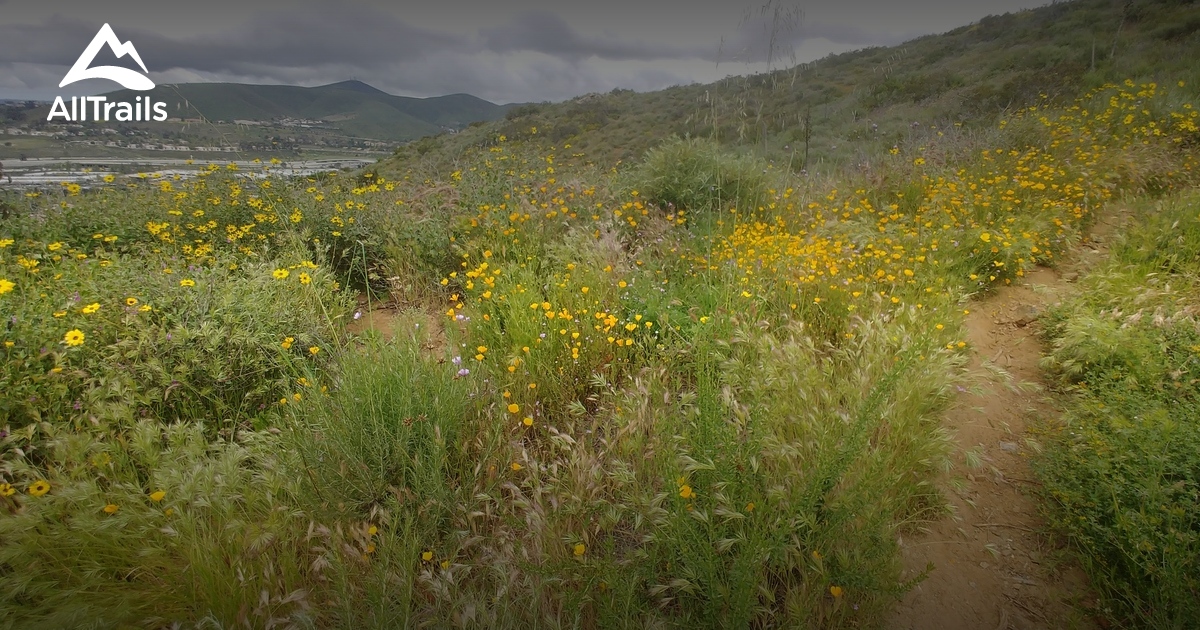 Van Dam Peak - hikes and trails to get you there | AllTrails