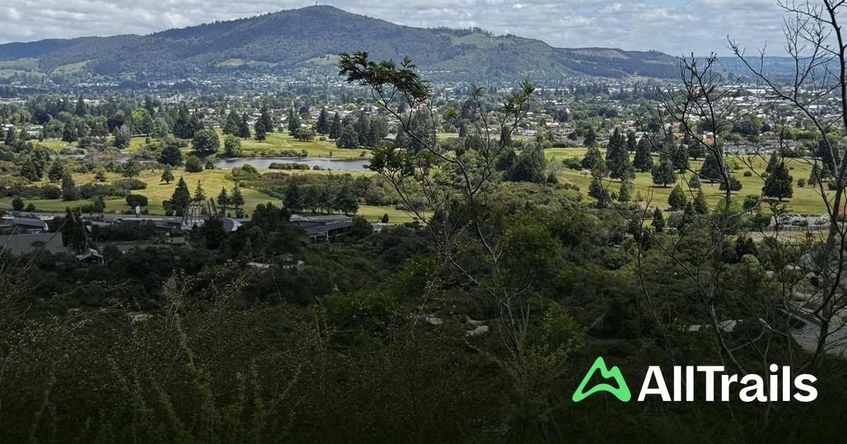 Waipa Outlook - hikes and trails to get you there | AllTrails