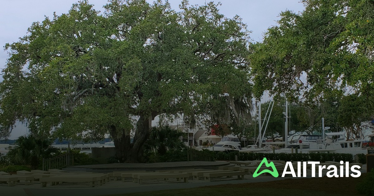Beste routes in de buurt van Liberty Oak Tree | AllTrails