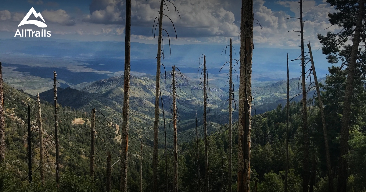 Butterfly Peak - hikes and trails to get you there | AllTrails