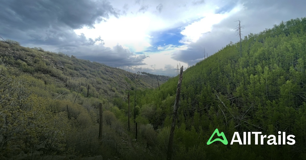 Armstead Spring - hikes and trails to get you there | AllTrails