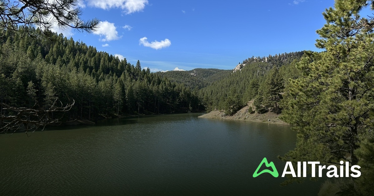 Lower Palmer Reservoir - hikes and trails to get you there | AllTrails