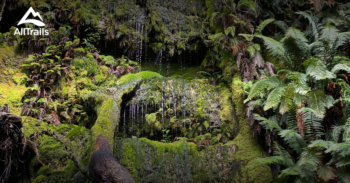 Cecilia Waterfall - hikes and trails to get you there | AllTrails