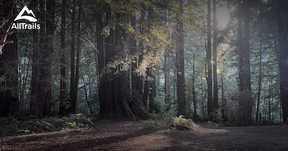 Five Finger Falls - hikes and trails to get you there | AllTrails