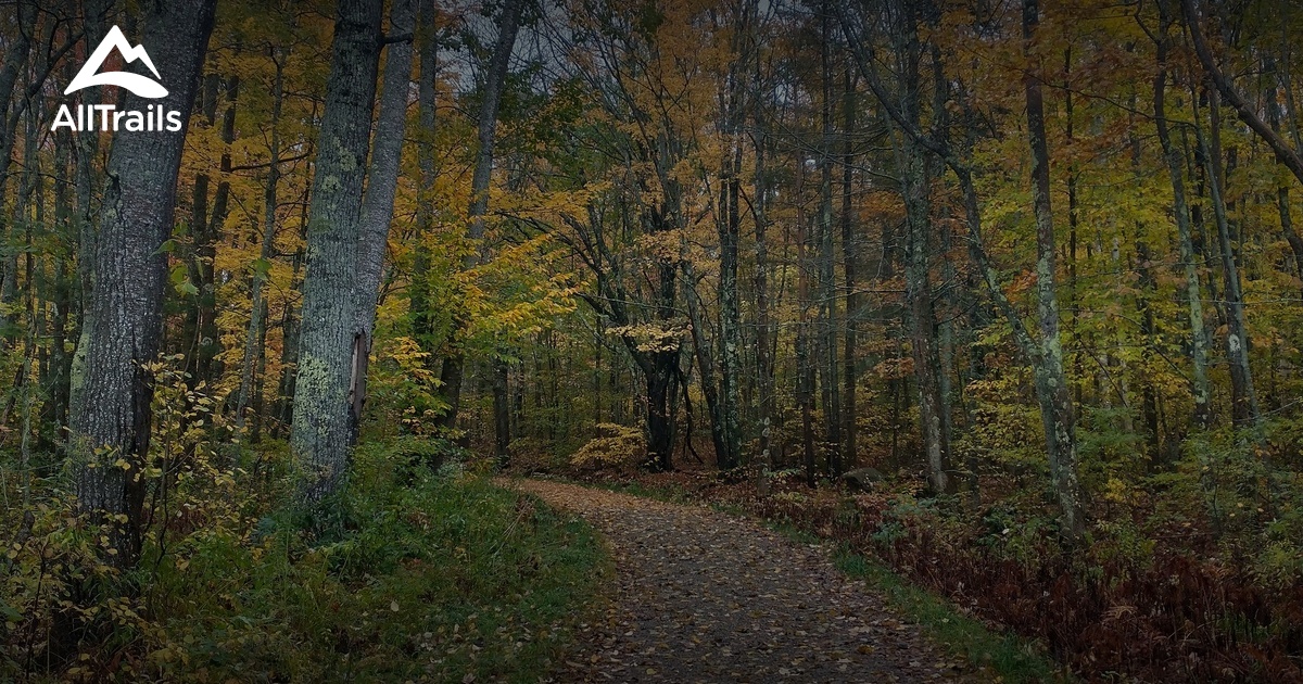 Frohock Mountain - hikes and trails to get you there | AllTrails