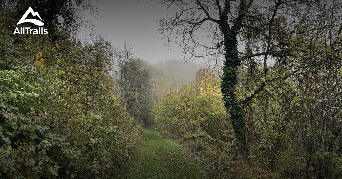 Rotenberg - hikes and trails to get you there | AllTrails