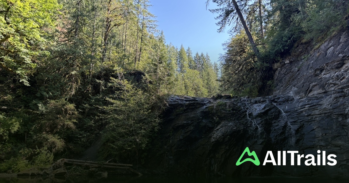Trent River - hikes and trails to get you there | AllTrails