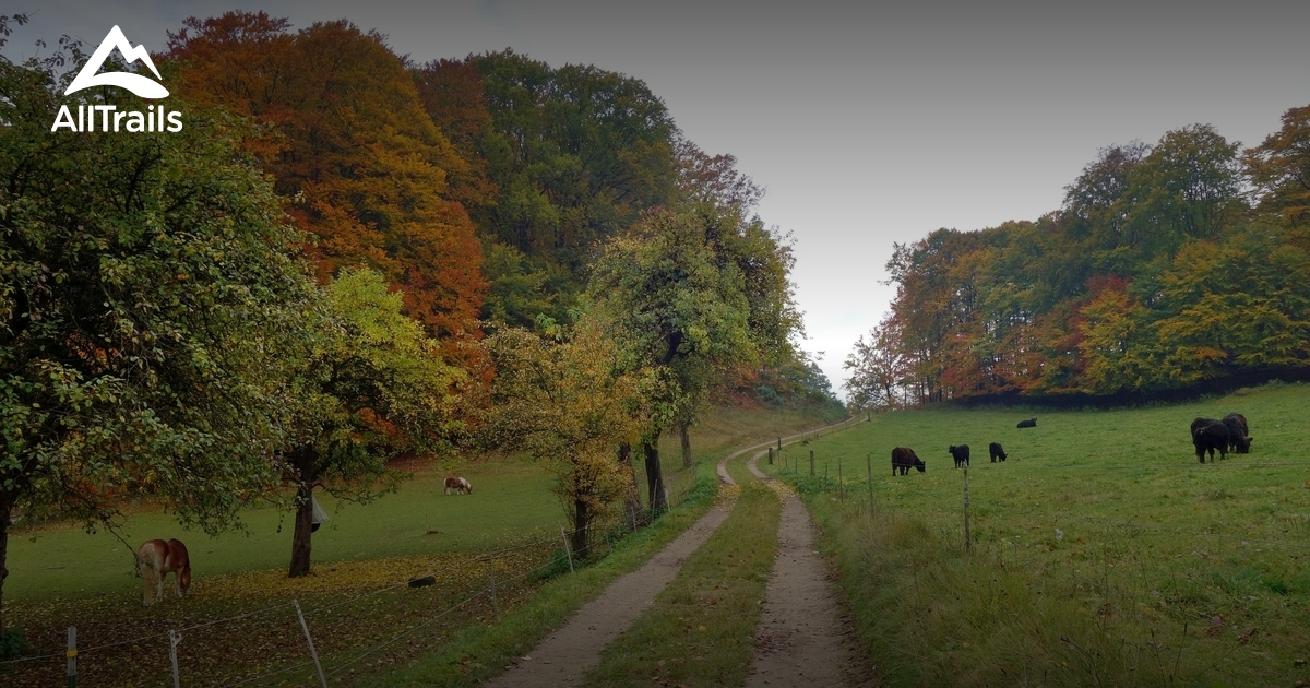 2023: Beste Routen in der Umgebung von Spitzenberg | AllTrails