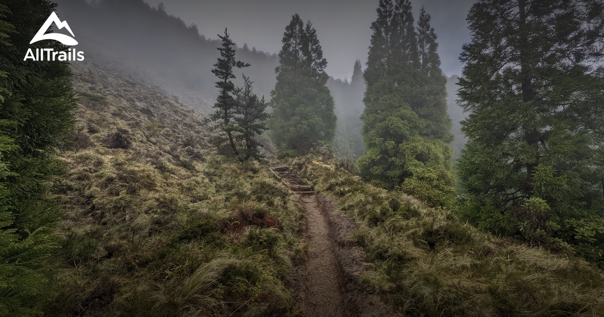 Pico da Vara: Die besten Routen in der Umgebung | AllTrails