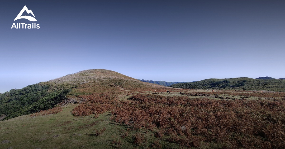 Fanal - hikes and trails to get you there | AllTrails