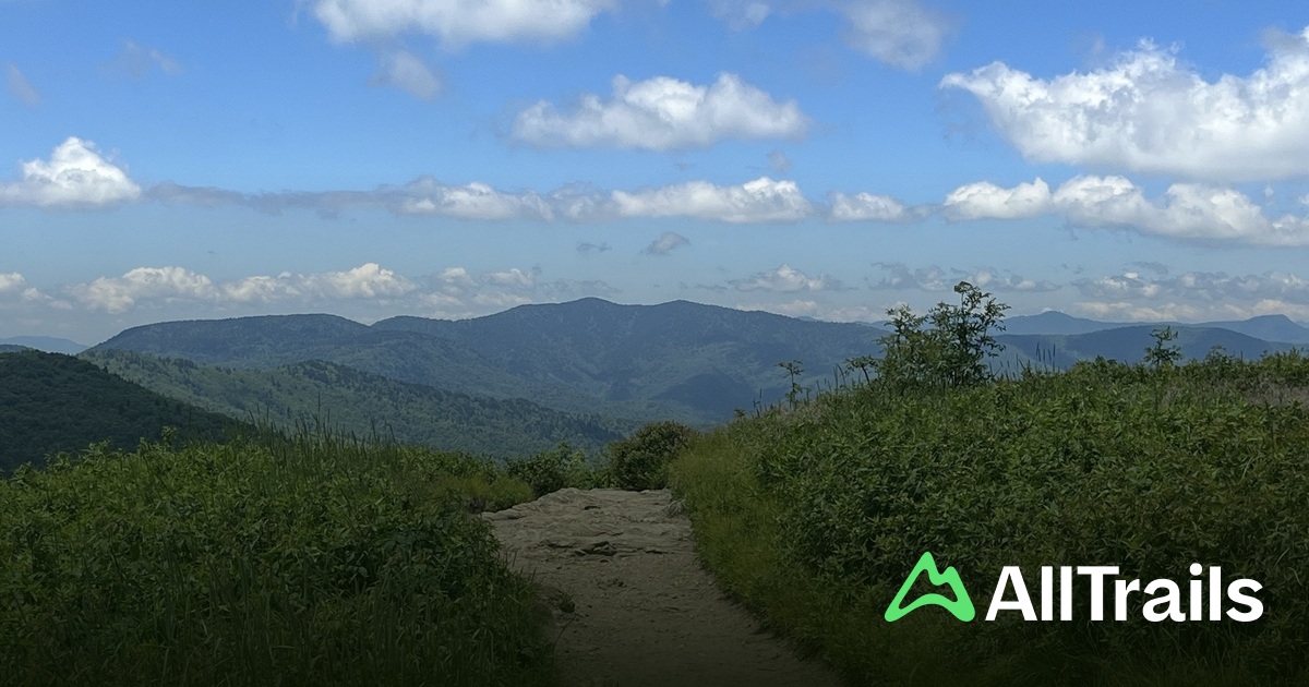 Shining Rock Campground - hikes and trails to get you there | AllTrails