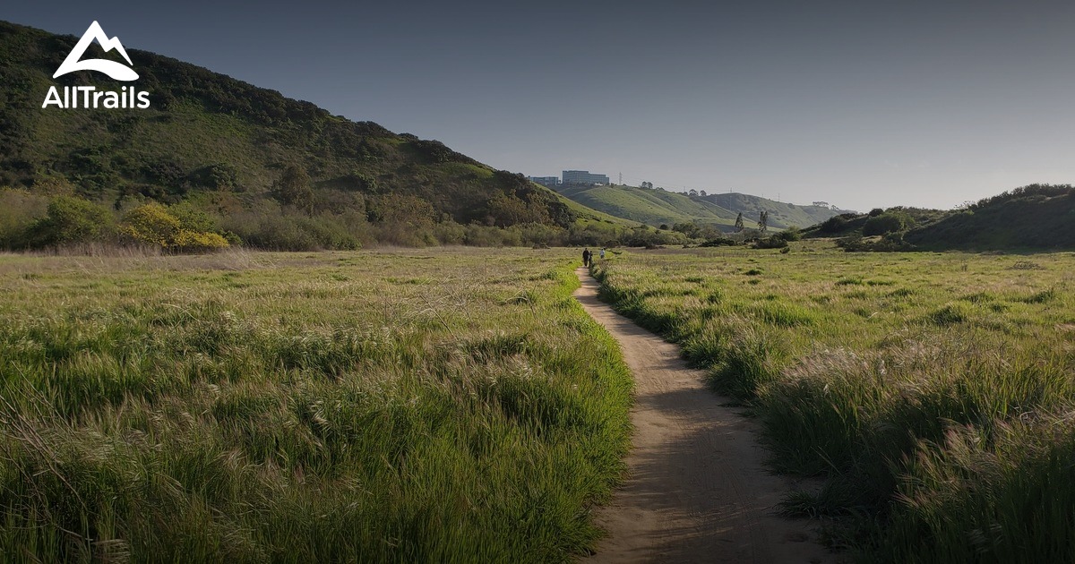 Del Mar Mesa - hikes and trails to get you there | AllTrails
