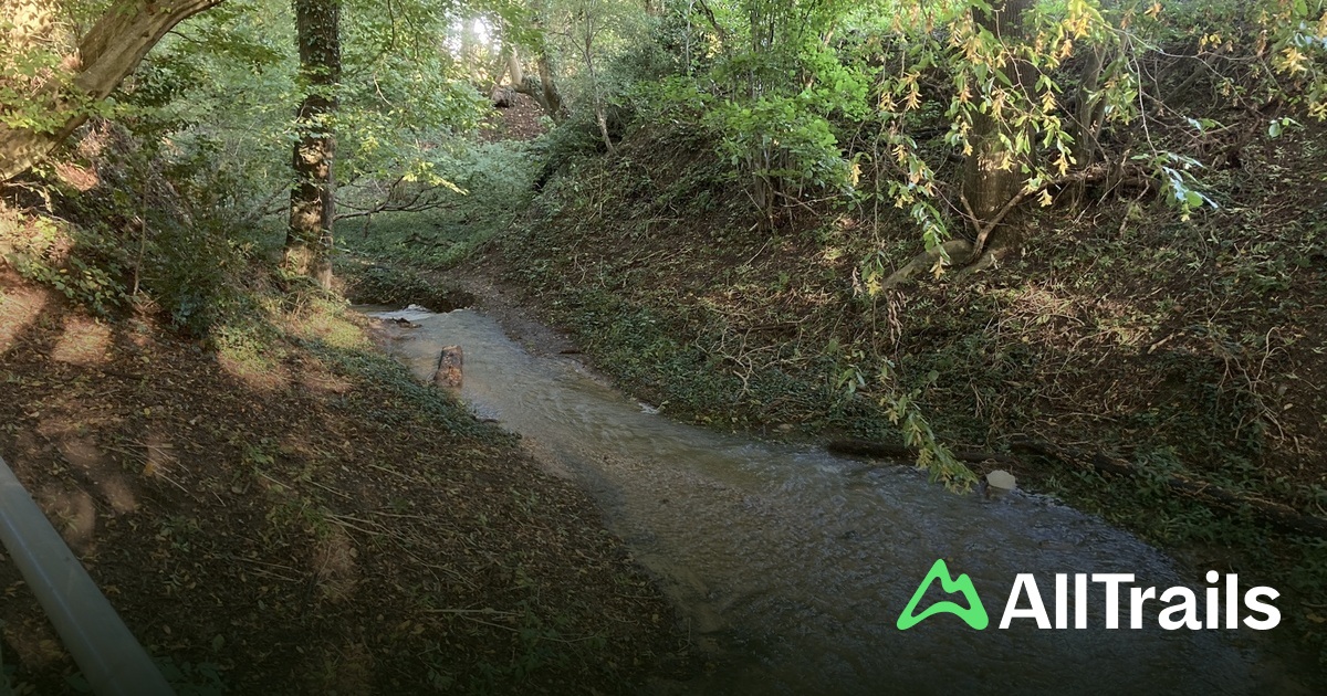 Wyken Vinyards - hikes and trails to get you there | AllTrails