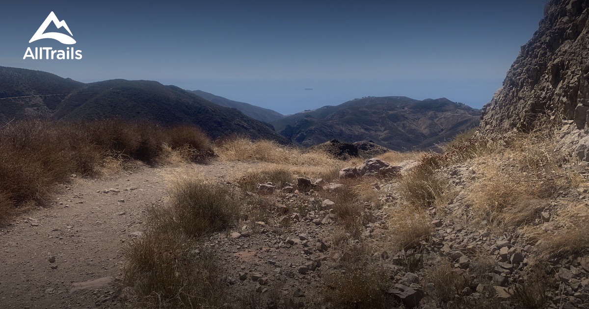 Boney Mountain - hikes and trails to get you there | AllTrails