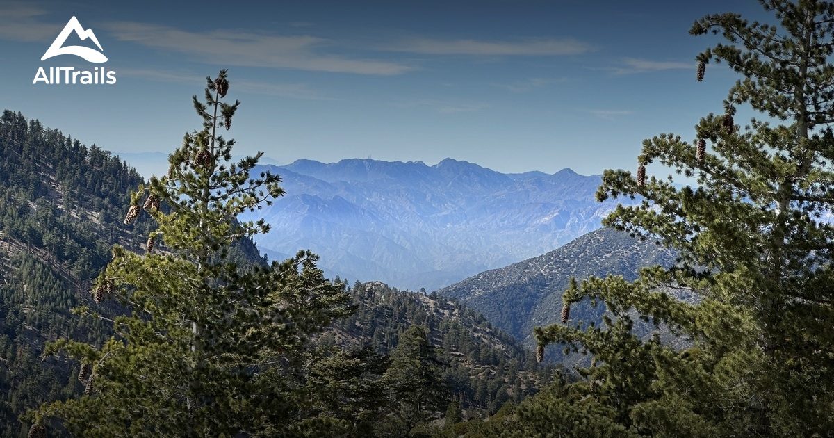 Timber Mountain: Die besten Routen in der Umgebung | AllTrails