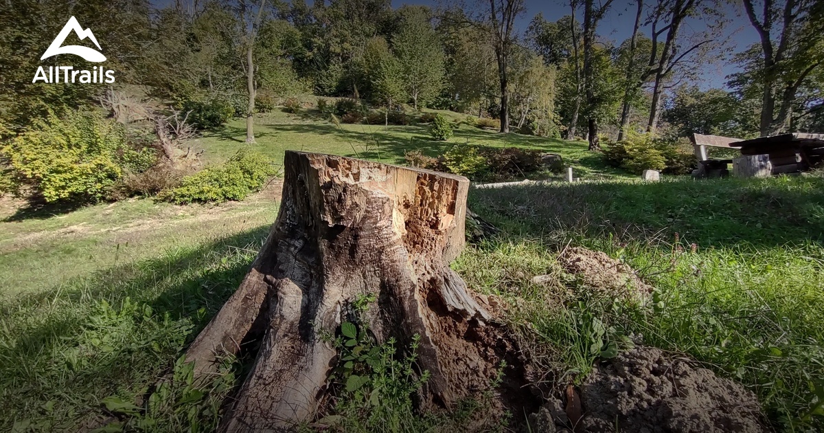 Motto Alto - hikes and trails to get you there | AllTrails