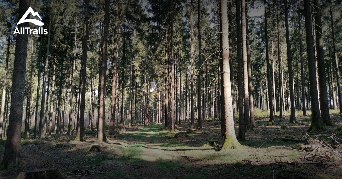 Best trails near Pfaffenberg | AllTrails