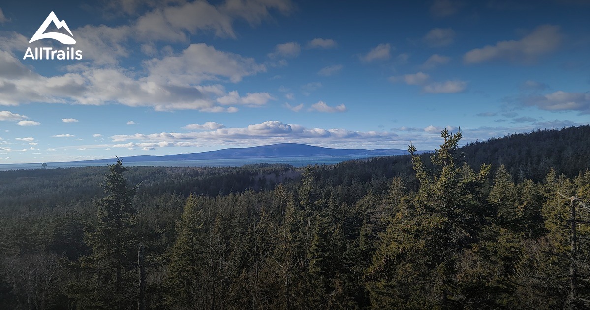 Schoodic Head - hikes and trails to get you there | AllTrails