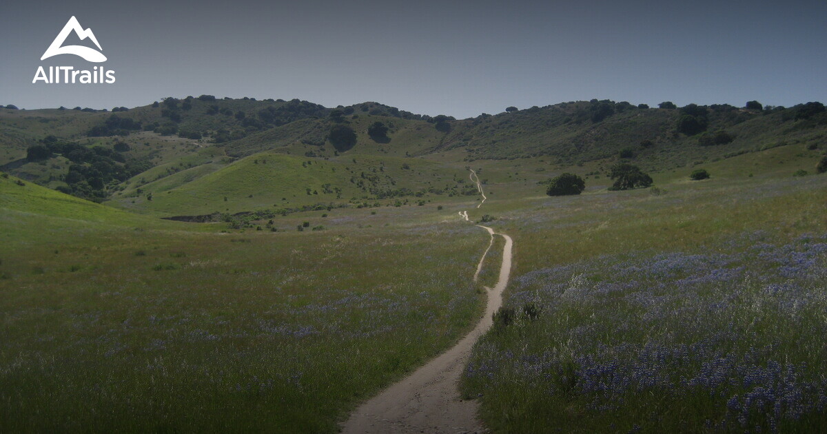 Wolf Hill - hikes and trails to get you there | AllTrails