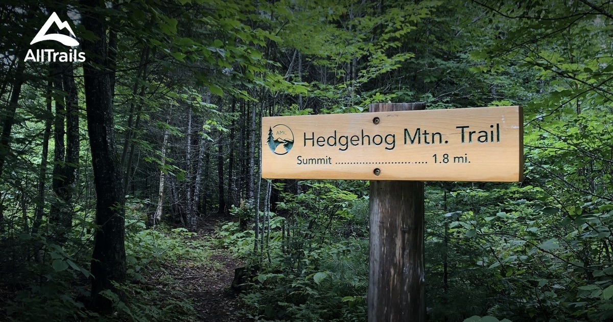 Hedgehog Mountain: Die besten Routen in der Umgebung | AllTrails