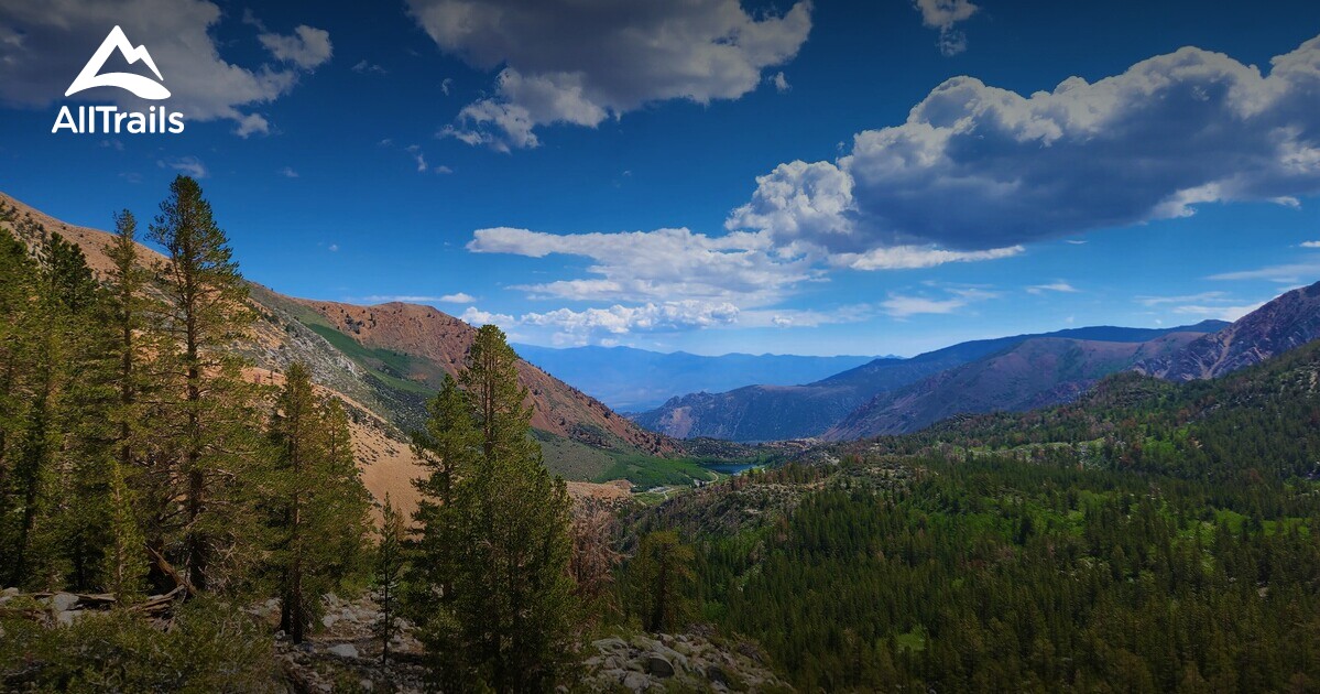 Mount Lamarck - hikes and trails to get you there | AllTrails