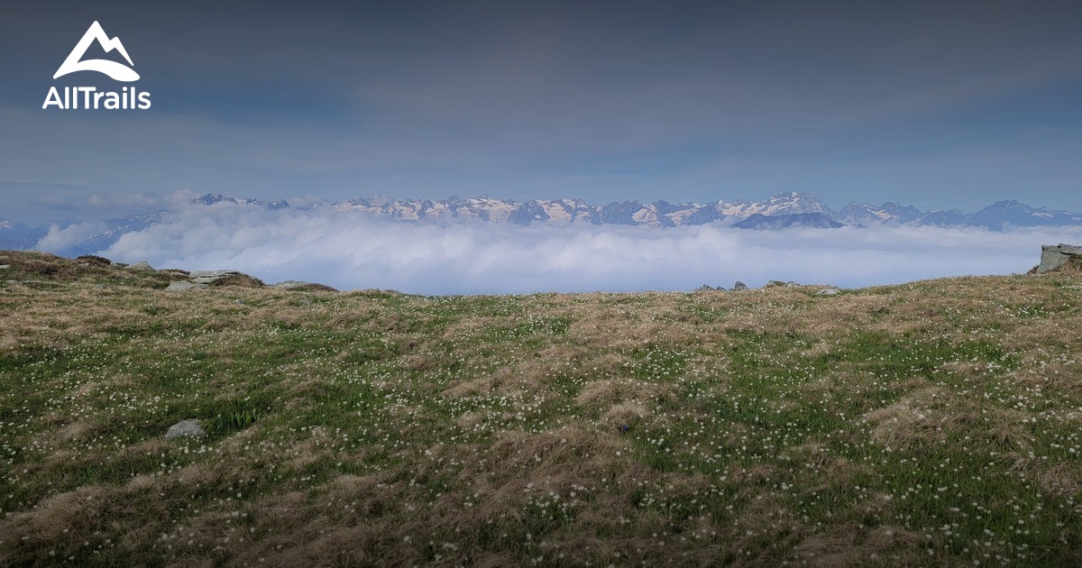 Best trails near Cima Pitte | AllTrails