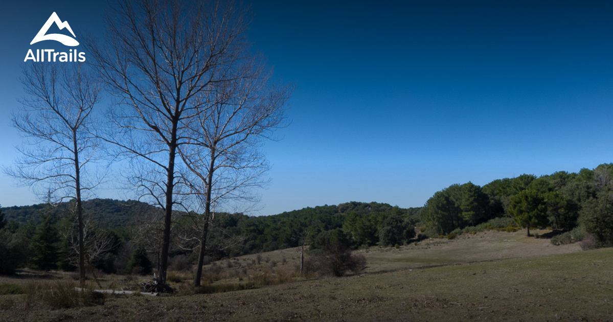 Cerro Calvero - hikes and trails to get you there | AllTrails