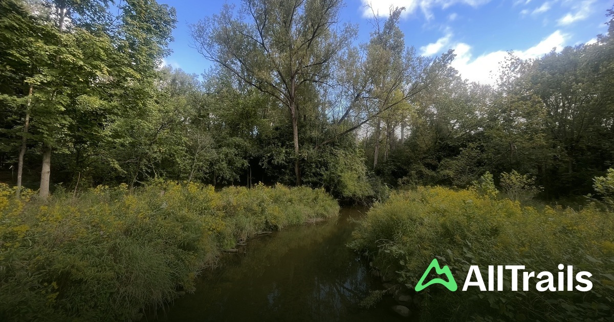 The Giving Tree - hikes and trails to get you there | AllTrails