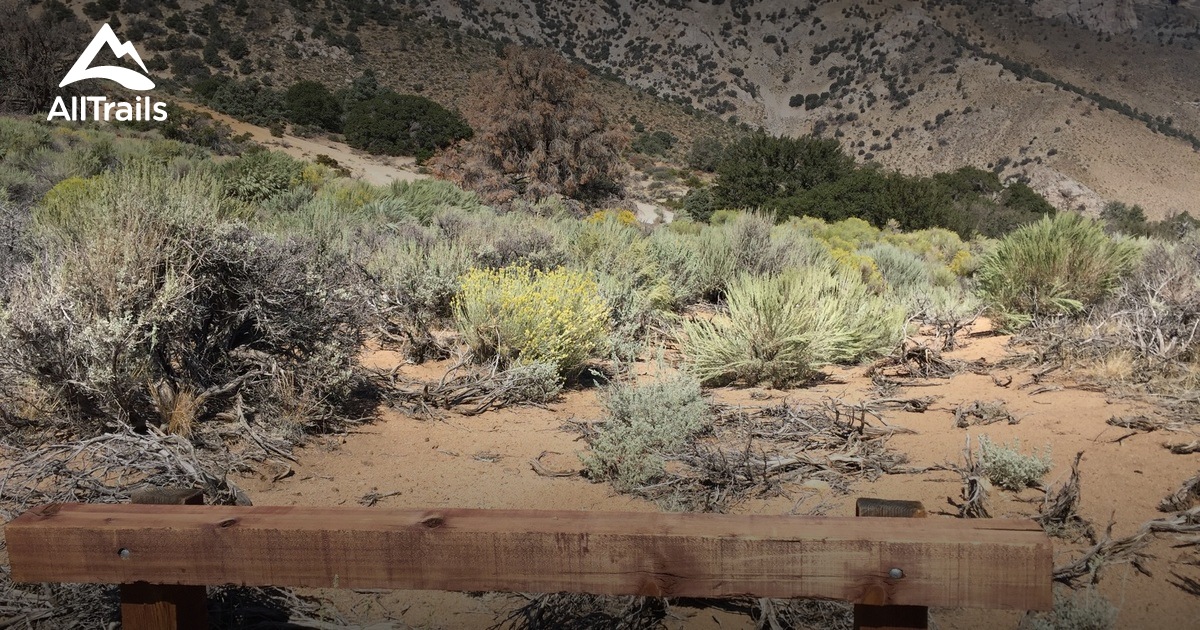 Olancha Peak - hikes and trails to get you there | AllTrails